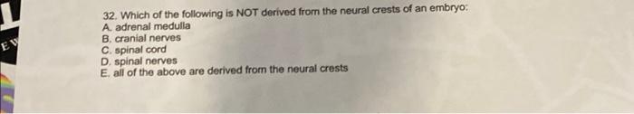 Solved EW 32. Which of the following is NOT derived from the | Chegg.com