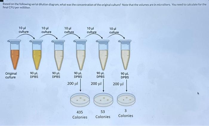 Solved Based on the following serial dilution diagram, what | Chegg.com