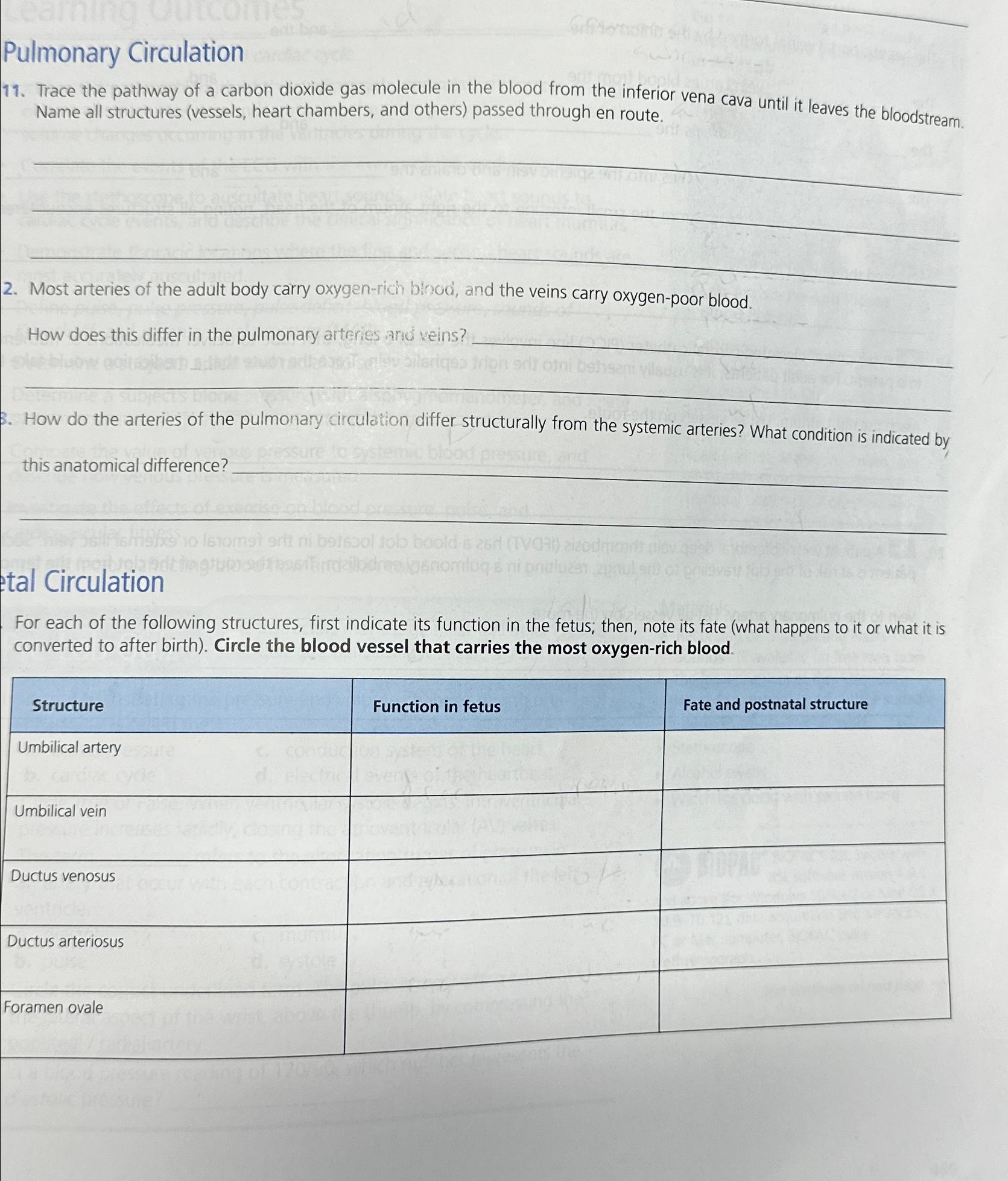Solved Pulmonary Circulation11. ﻿Trace the pathway of a | Chegg.com