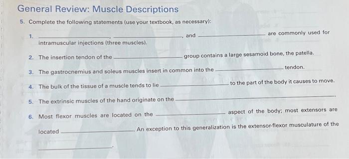 Solved General Review: Muscle Descriptions 5. Complete the | Chegg.com