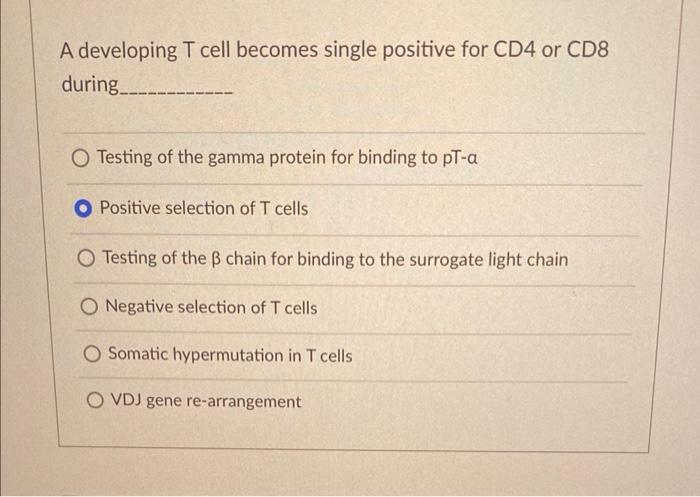 Solved A developing T cell becomes single positive for CD4 | Chegg.com