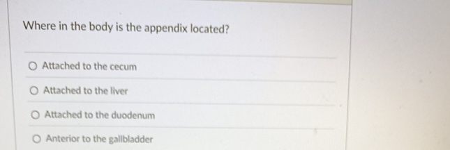 Solved Where in the body is the appendix located?Attached to | Chegg.com