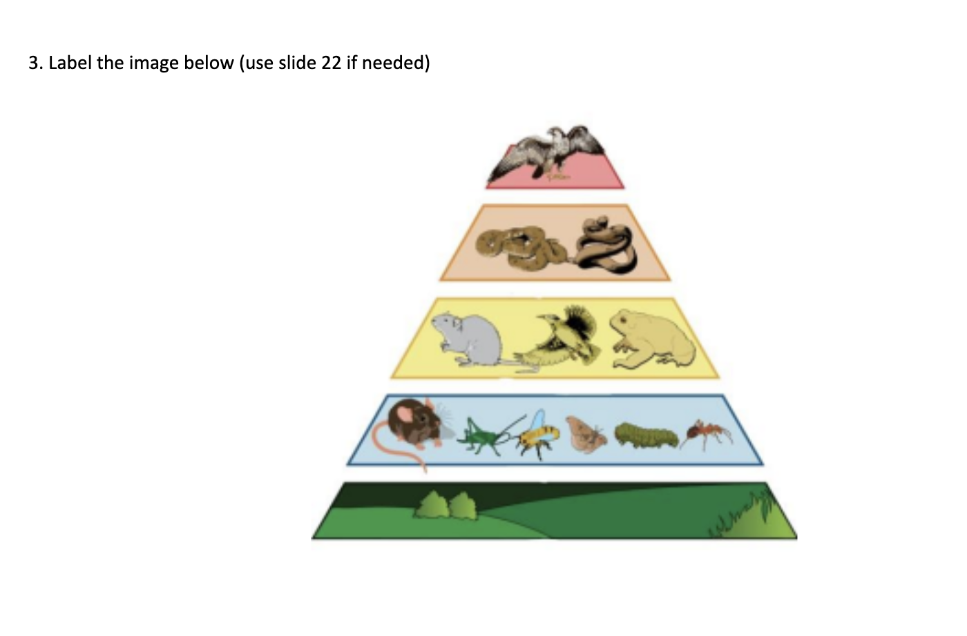 Solved Label the image below (use slide 22 ﻿if needed) | Chegg.com