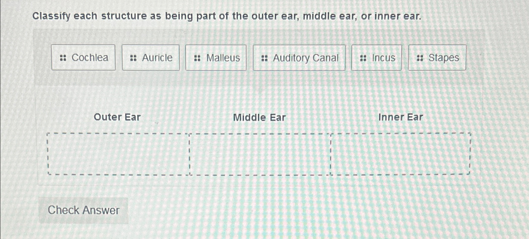Solved Classify each structure as being part of the outer | Chegg.com