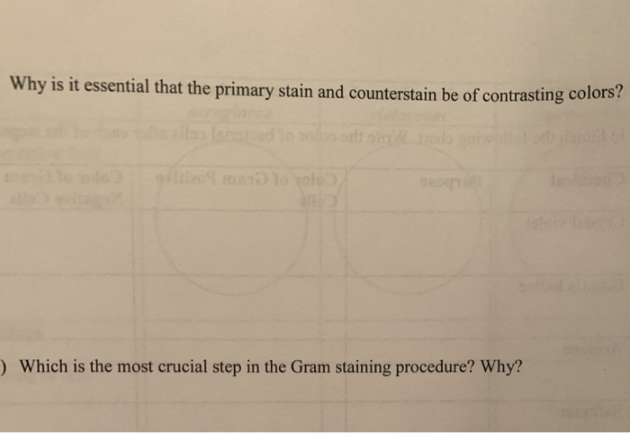 Solved Why is it essential that the primary stain and | Chegg.com