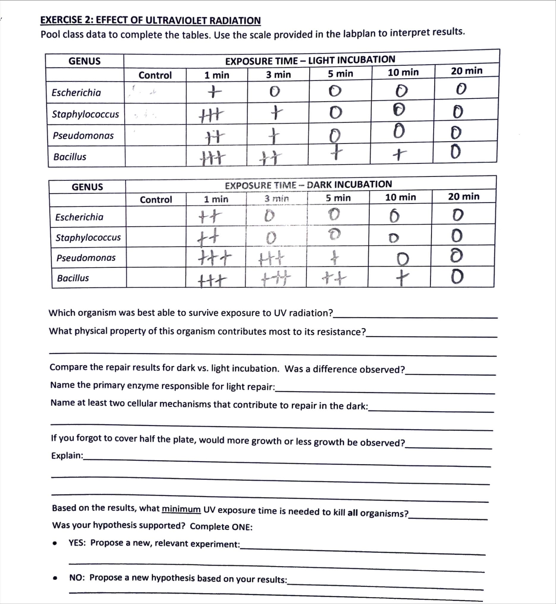 Solved EXERCISE 2: EFFECT OF ULTRAVIOLET RADIATIONPool class | Chegg.com