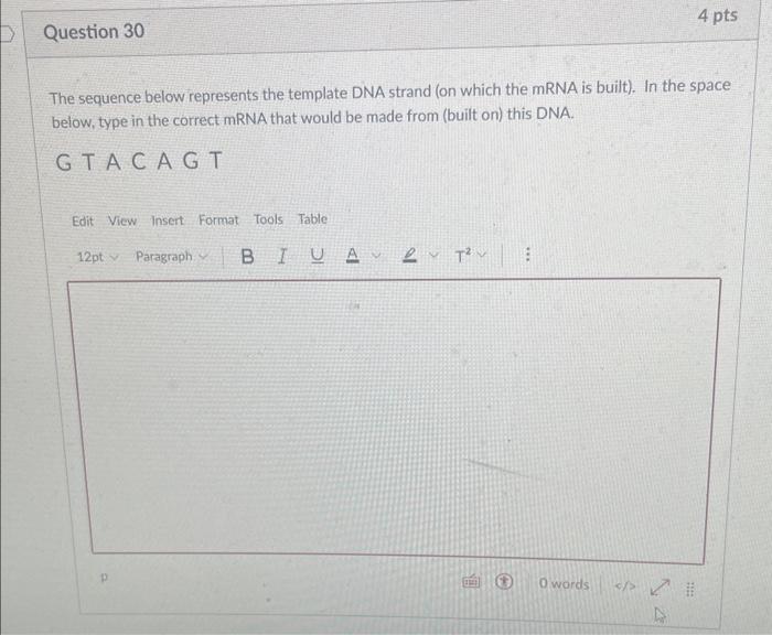 Solved The sequence below represents the template DNA strand | Chegg.com