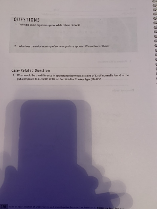 PART VI: IDENTIFICATION OF GRAM POSITIVE AND GRAM | Chegg.com