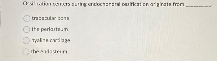 Solved Ossification centers during endochondral ossification | Chegg.com