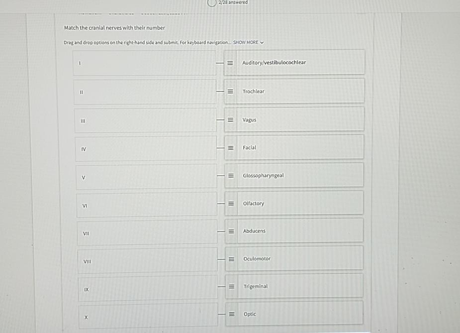 Solved Match the cranial nerves with their numberDrag and | Chegg.com