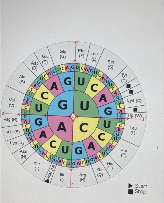 Solved Exercise: Coding Bitterness Prior to this exercise, | Chegg.com