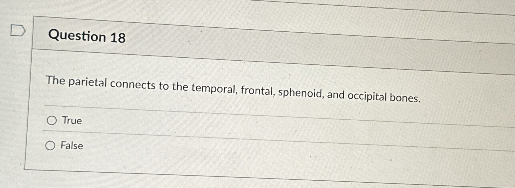 Solved Question 18The parietal connects to the temporal, | Chegg.com