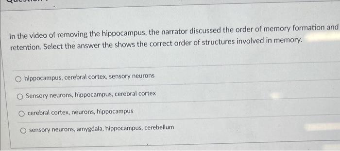 Solved In the video of removing the hippocampus, the | Chegg.com