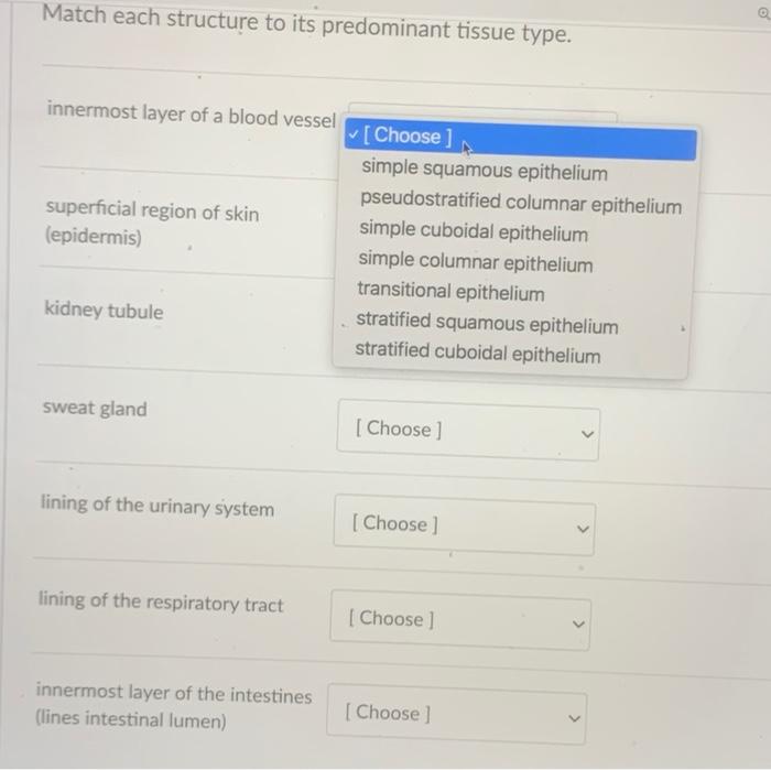 Solved Match each structure to its predominant tissue type. | Chegg.com