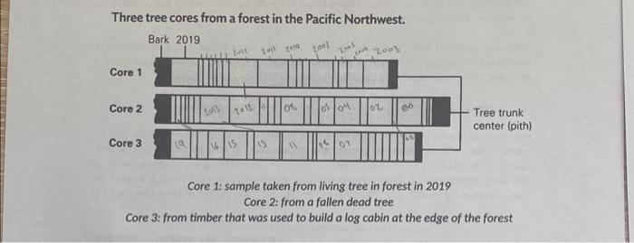 Solved Three tree cores from a forest in the Pacific | Chegg.com