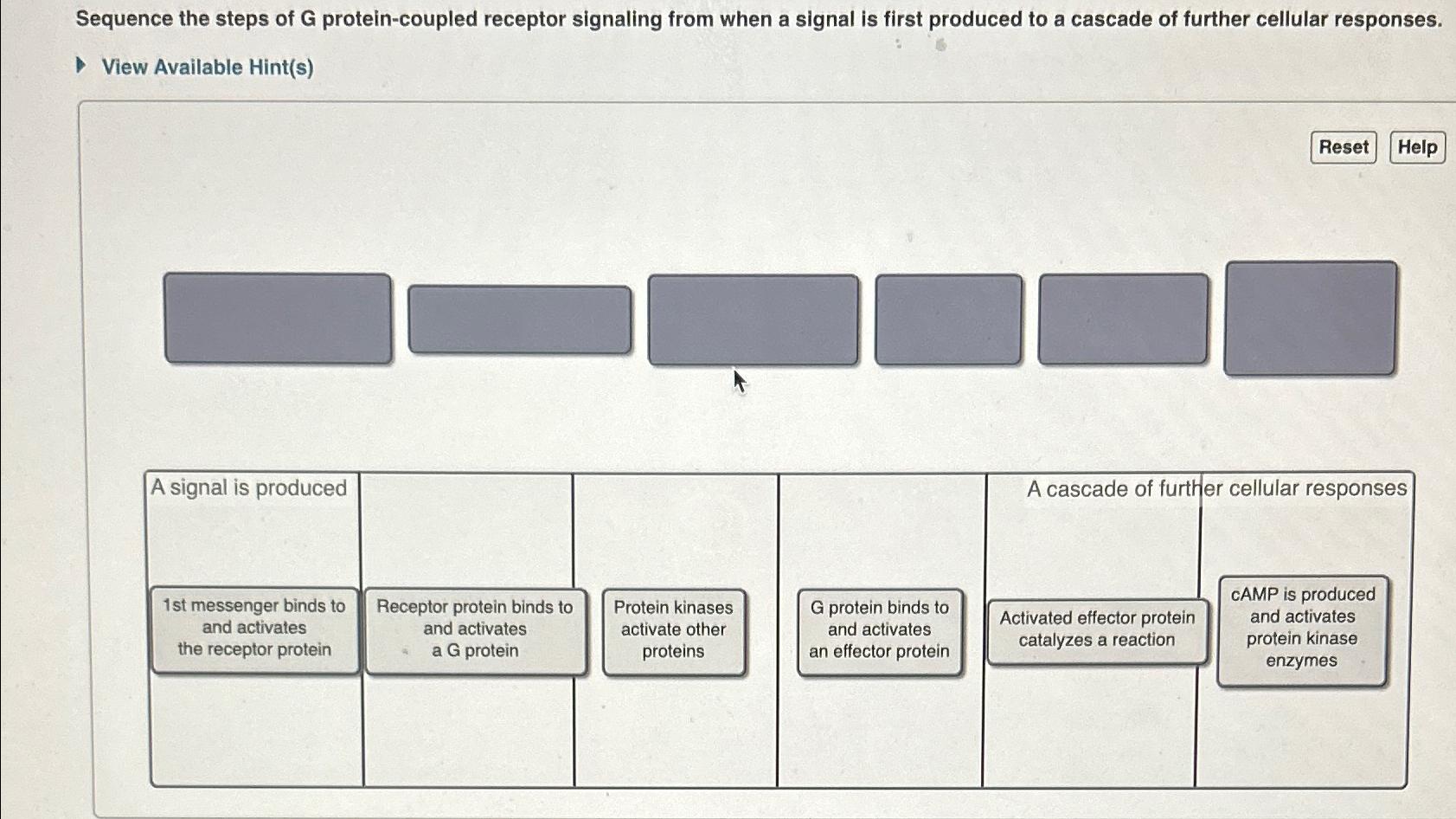 Solved Sequence the steps of G protein-coupled receptor | Chegg.com Solved Sequence the steps of G protein-coupled receptor | Chegg.com