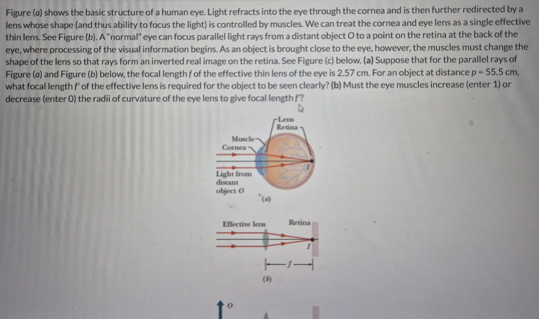 Solved Figure (a) ﻿shows the basic structure of a human eye. | Chegg.com