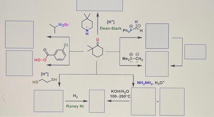Solved [H+] NH2NH2,H3O+major minor 1) NH2NH2,H3O+ 2) | Chegg.com