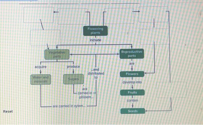 Solved How might you add, "sexual reproduction" and "asexual | Chegg.com