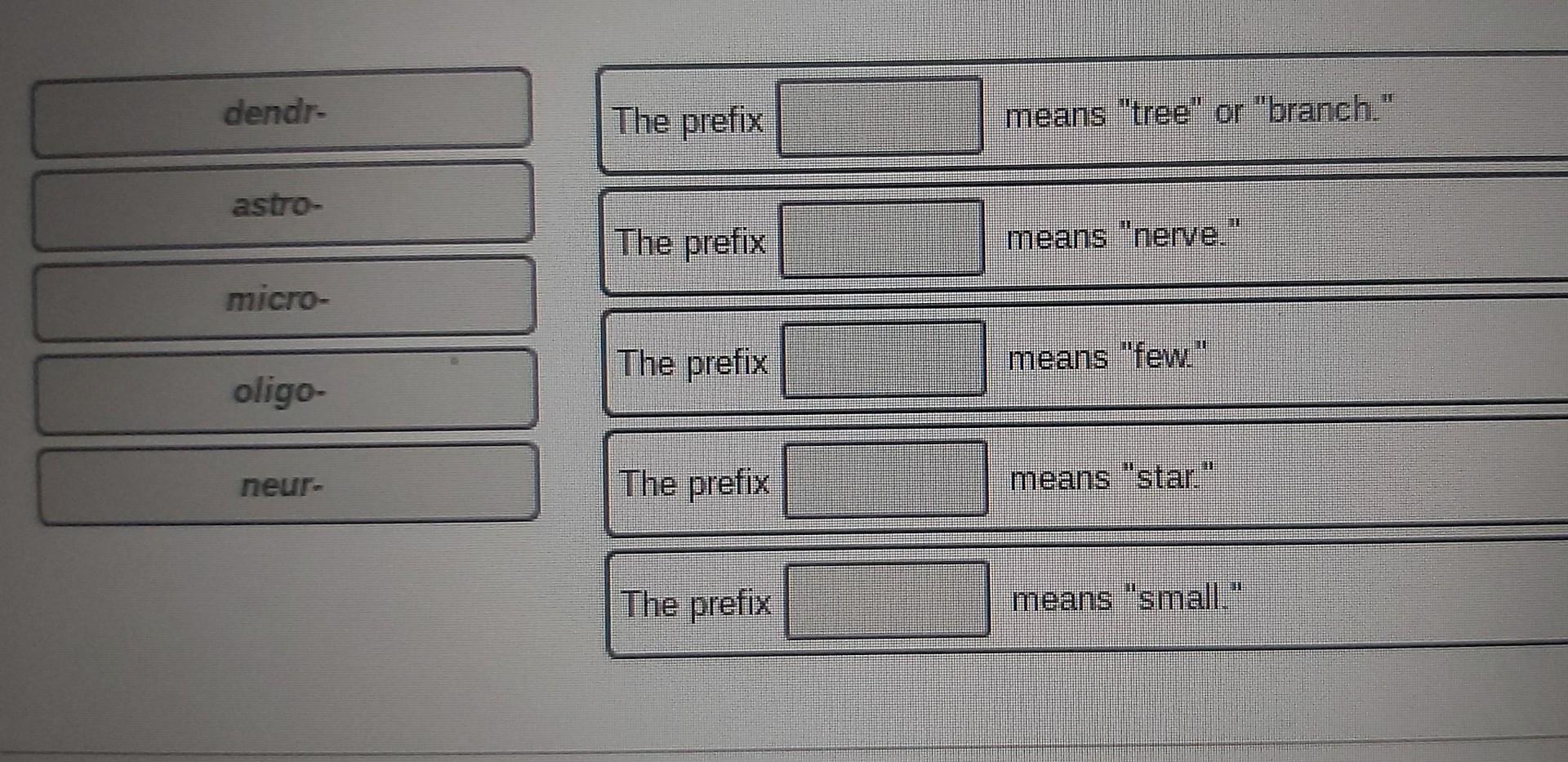 Solved The prefix means "tree" or "branch." The prefix means | Chegg.com