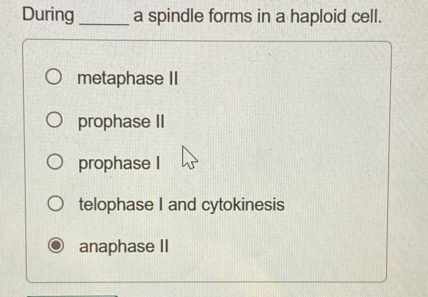 Solved During q, ﻿a spindle forms in a haploid | Chegg.com