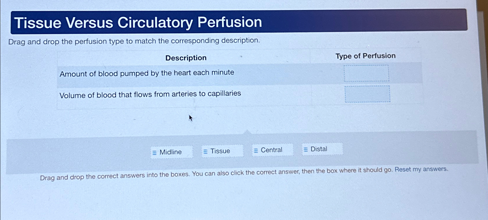 Solved Tissue Versus Circulatory PerfusionDrag and drop the | Chegg.com