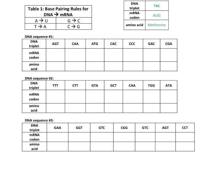 Solved Table 1: Base Pairing Rules for DNA → mRNA A™U G C TA | Chegg.com