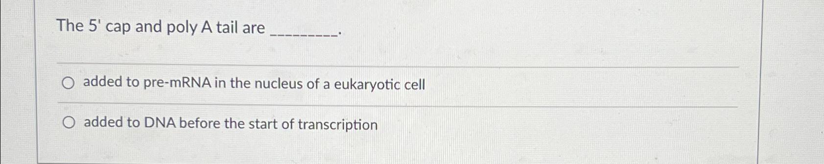 Solved The 5' ﻿cap and poly A tail areadded to pre-mRNA in | Chegg.com