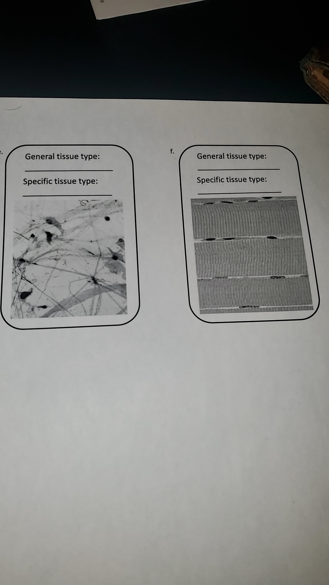 Solved for image identify both the general and specific | Chegg.com