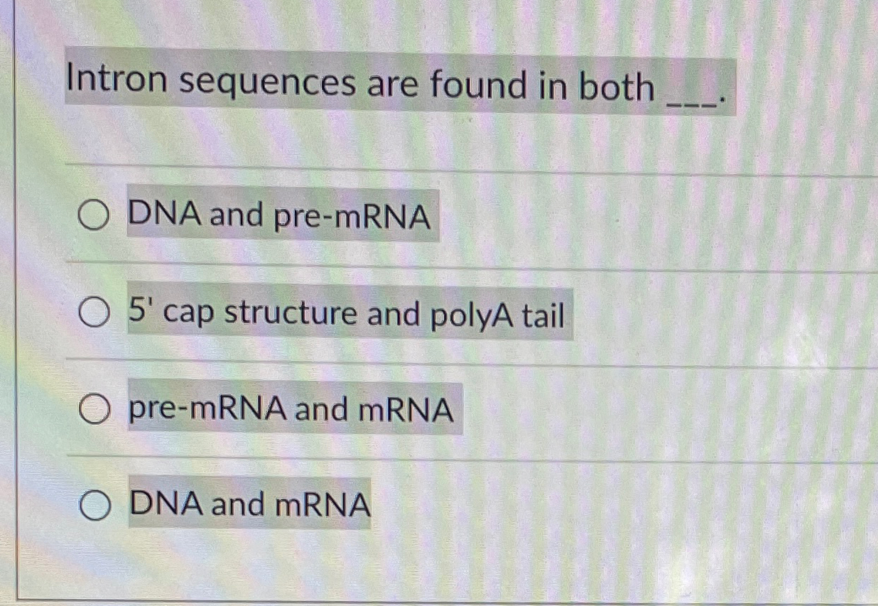 Solved Intron sequences are found in both q,q,DNA and | Chegg.com