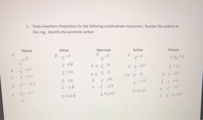 Solved 1. Draw Hawthorn Projections for the following | Chegg.com