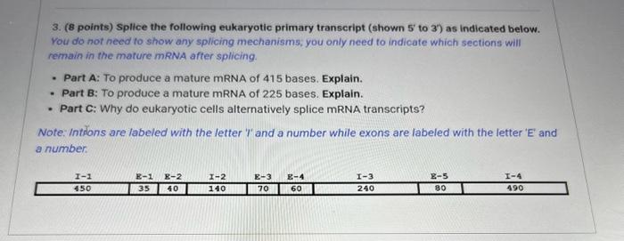 3. ( 8 points) Splice the following eukaryotic | Chegg.com