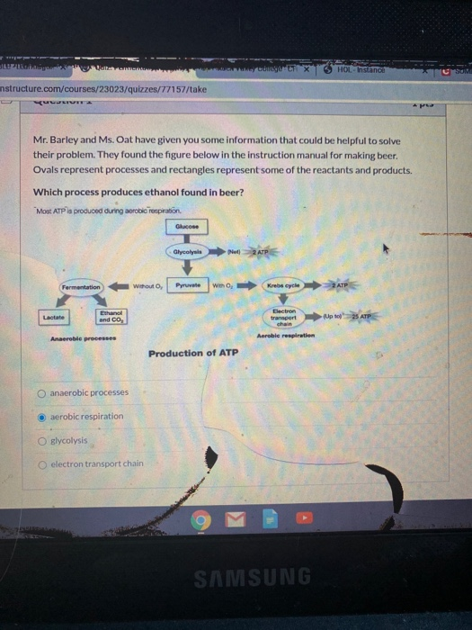 Solved Patron HOL. instance | Chegg.com