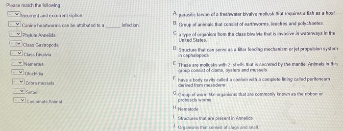 Solved Please match the following Incurrent and excurrent | Chegg.com