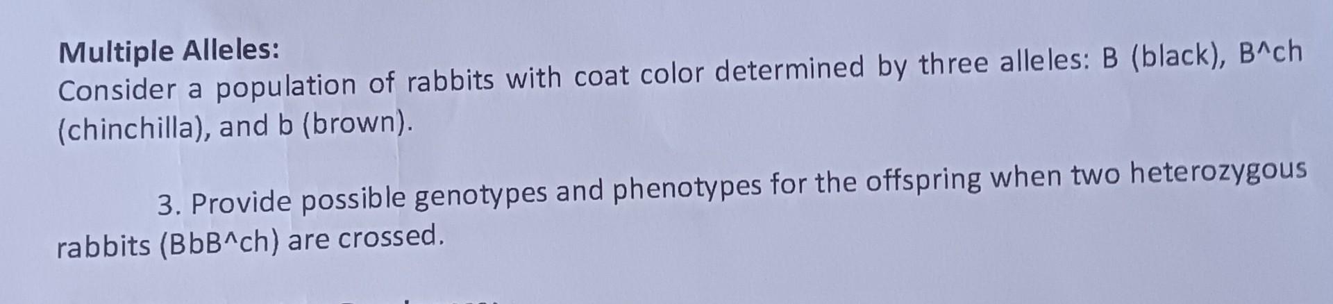 Solved Multiple Alleles: Consider a population of rabbits | Chegg.com