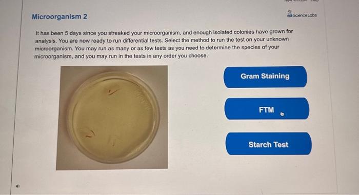 Identifying an Unknown Organism Table 1: Defining | Chegg.com