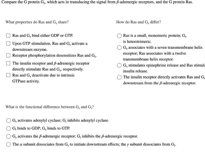 Solved What properties do Ras and G5 share? How do Ras and | Chegg.com