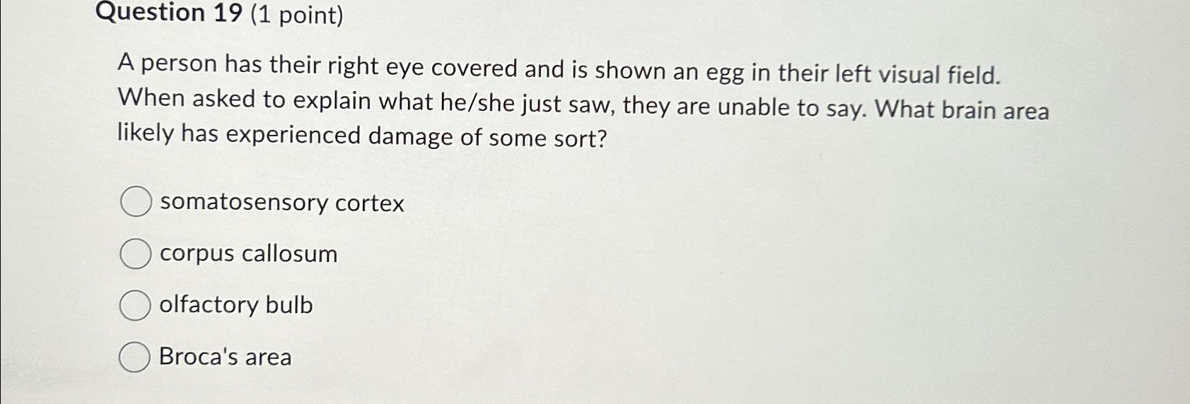 Solved Question 19 (1 ﻿point)A person has their right eye | Chegg.com