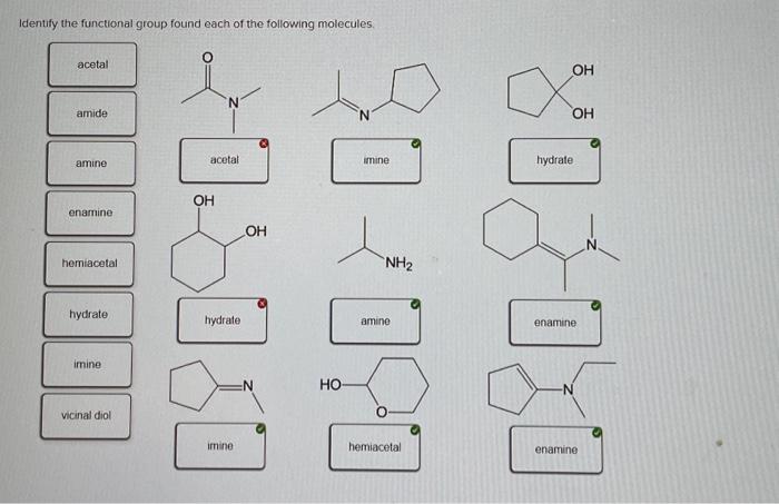 Solved Identify the functional group found each of the | Chegg.com