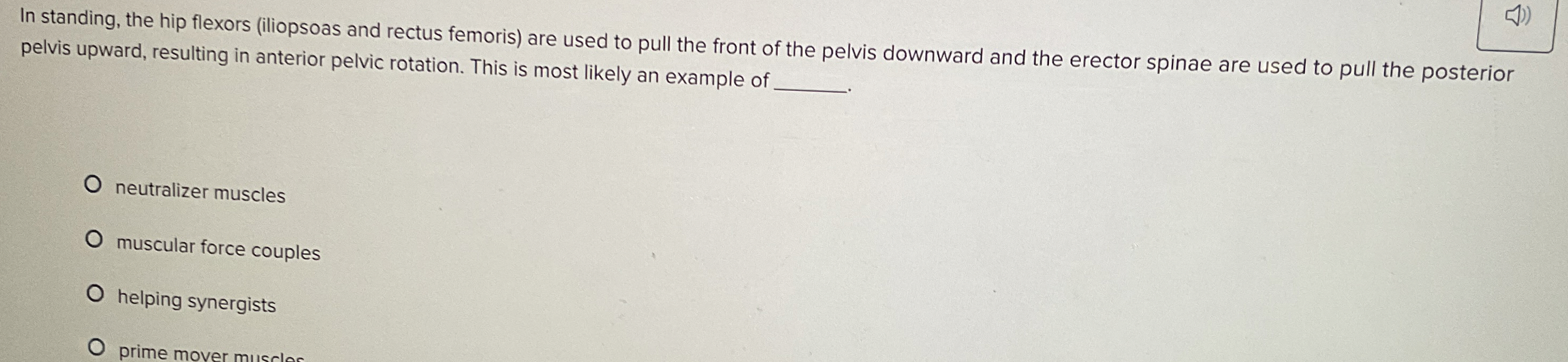 Solved In standing, the hip flexors (iliopsoas and rectus | Chegg.com