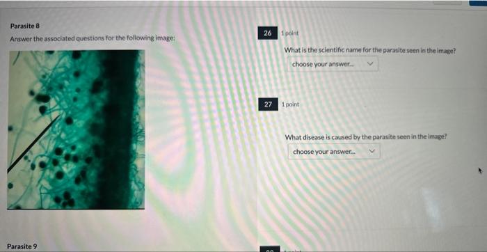 Solved What is the scientific name for the parasite seen in | Chegg.com