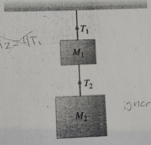 Solved Q4: In the figure below two masses M1 ﻿and M2 ﻿hang | Chegg.com