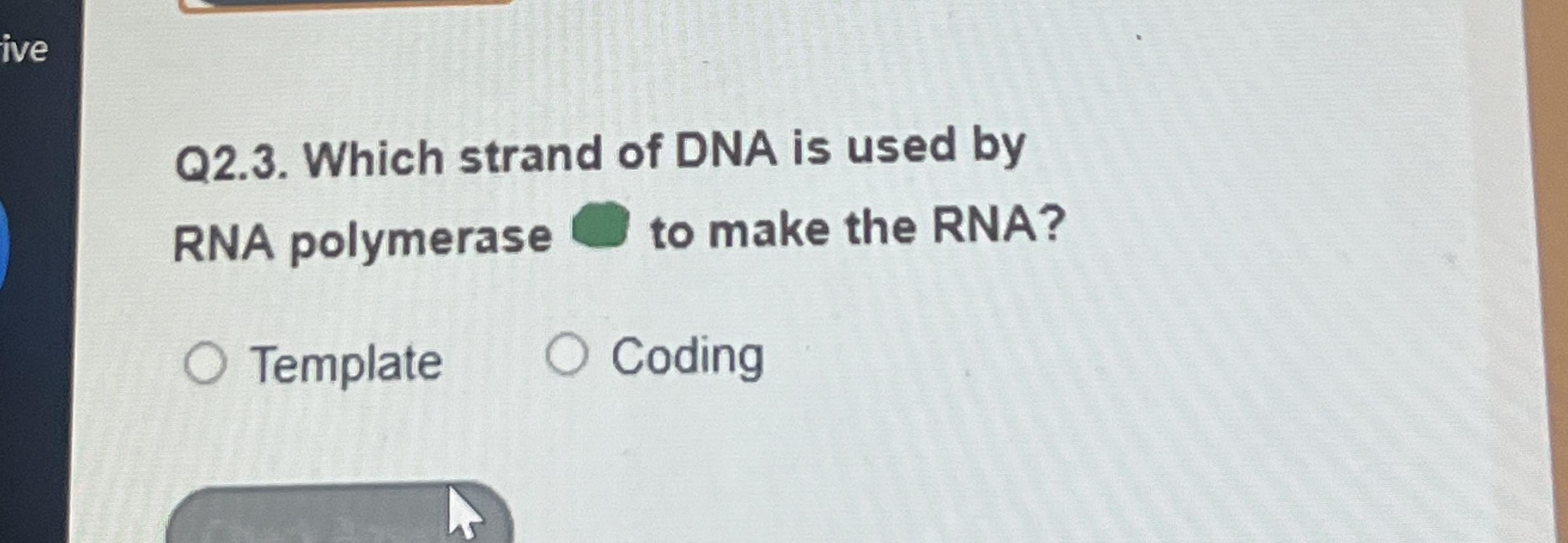 Solved Q2.3. ﻿Which strand of DNA is used byRNA polymeraseto | Chegg.com