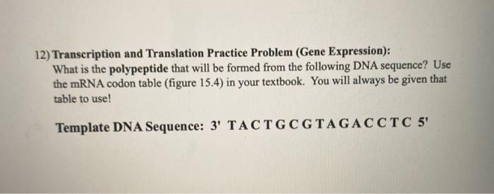 Solved 12) Transcription and Translation Practice Problem | Chegg.com