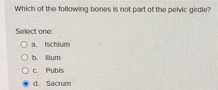 Solved What is the name of the shallow depression of the | Chegg.com