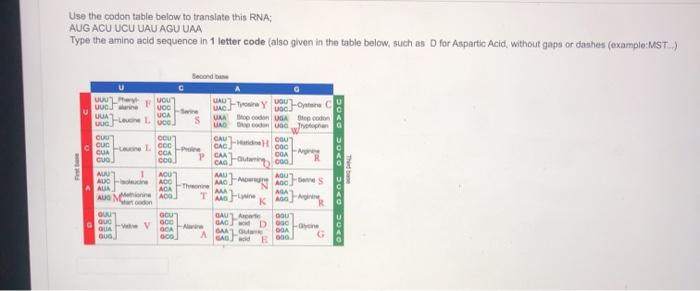 Solved Use the codon table below to translate this RNA AUG | Chegg.com