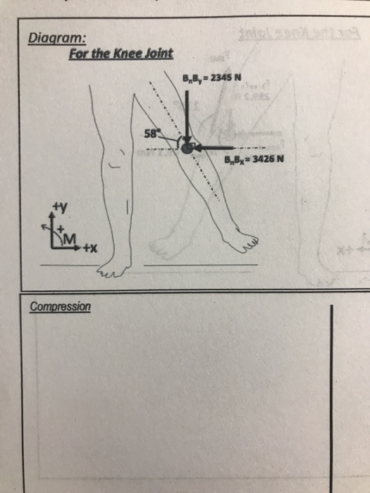 Solved 3. (8 marks) Calculate the total compression and | Chegg.com