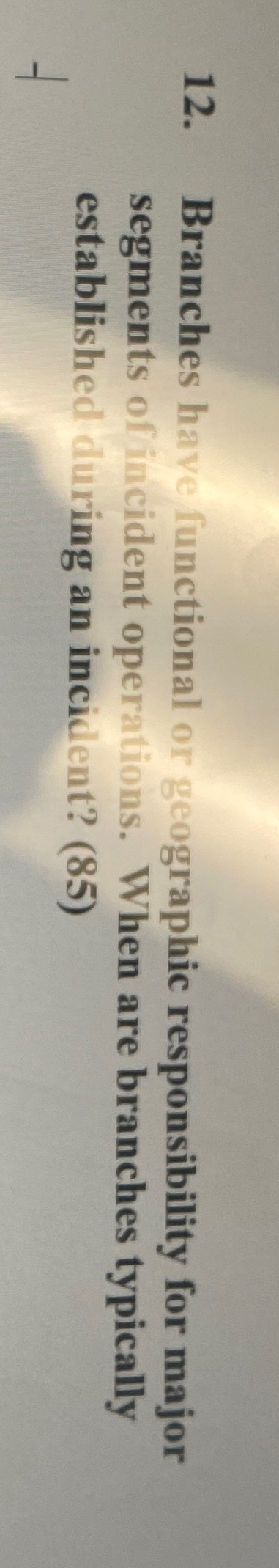 Solved Branches have functional or geographic responsibility | Chegg.com