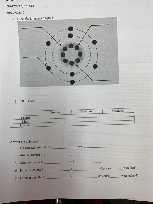 Solved CHAPTER 2 QUESTIONS DUE 07/21/20 1. Label the | Chegg.com