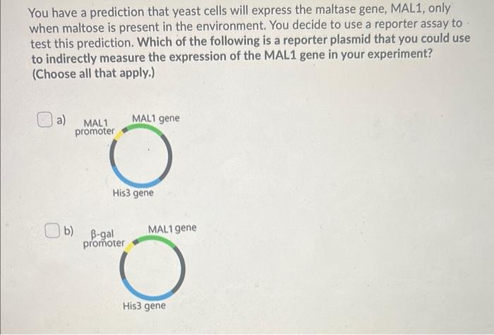 [Solved]: You have a prediction that yeast cells will expre